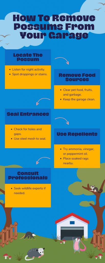 How To Remove Possum From My Garage - 711 Possum Removal Canberra