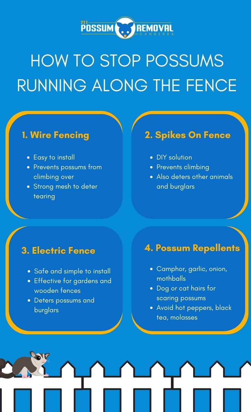 How To Stop Possums Running Along The Fence - 711 Possum Removal Canberra